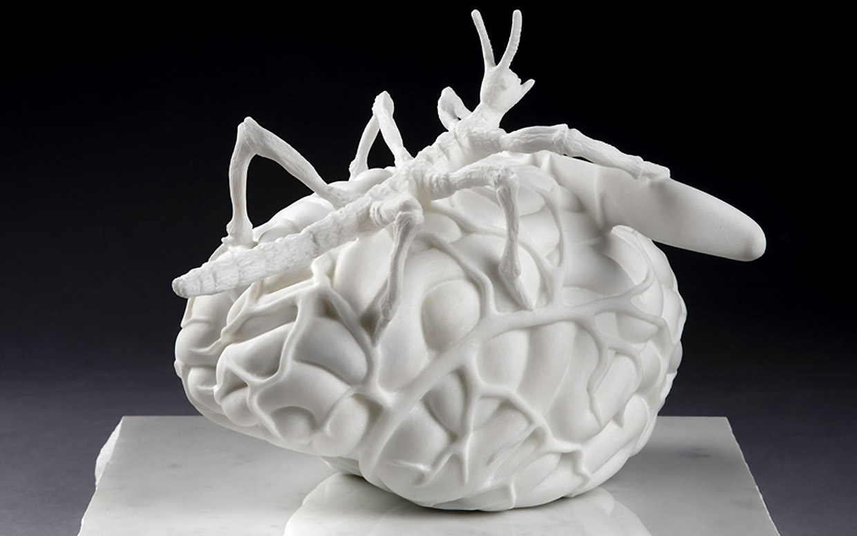 L'immaginazione di Jan Fabre incanta la Francia | Sky Arte - Sky